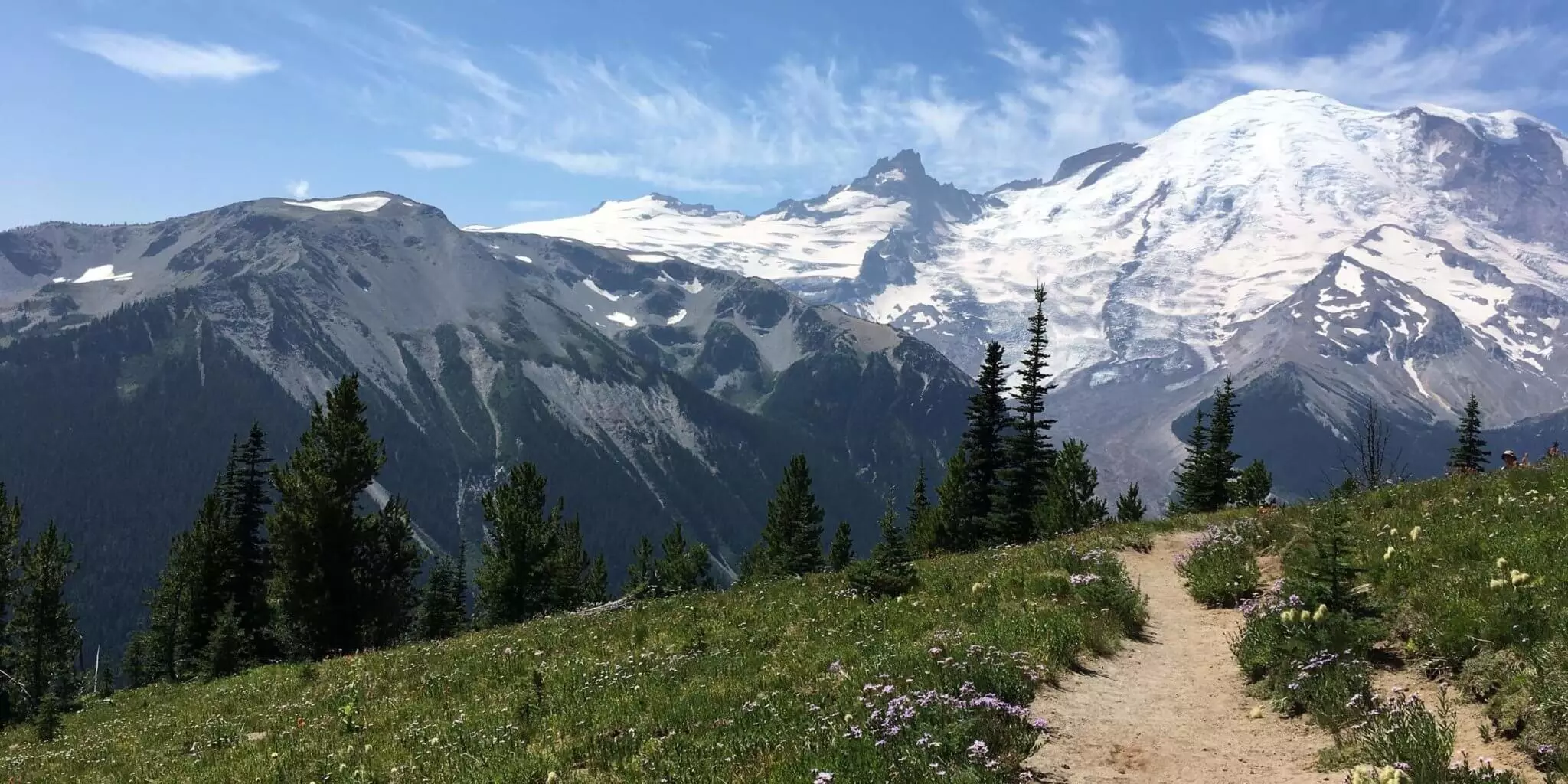 Tacoma-Pierce County EDB